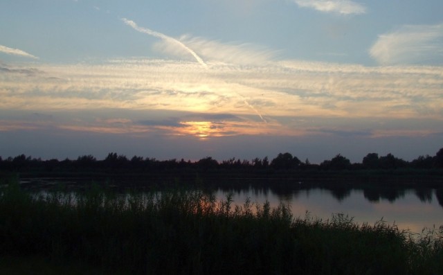 Zdjęcia: Fen Drayton Lakes, Cambridgeshire, Fen Drayton Lake 4, ANGLIA