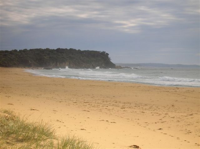 Zdjęcia: Moruya, NSW, Moruya heads, AUSTRALIA