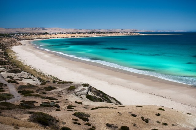 Zdjęcia: Aldinga, South Australia, Aldinga Beach, AUSTRALIA