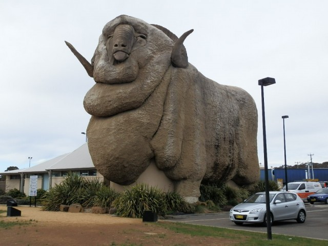 Zdjęcia: Sydney, Sydney, Największy baran Austalii, AUSTRALIA