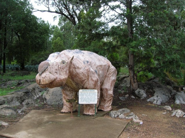 Zdjęcia: Wellington caves, central West, Mega-fauna, Wombat, AUSTRALIA