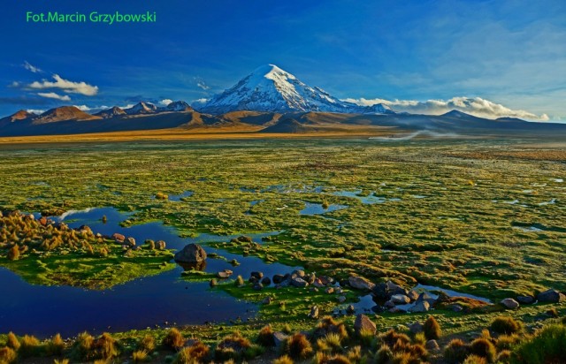 Zdjęcia: Boliwia, Boliwia-, Wulkan Sajama, BOLIWIA