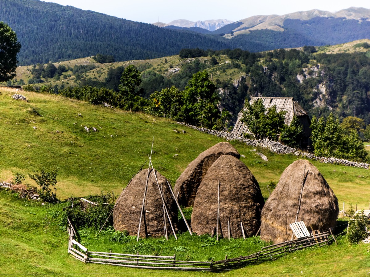 Zdjęcia: Mala Crna Gora, Durmitor, Mala Crna Gora 3, CZARNOGÓRA