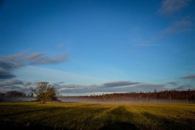 Zdjęcia: Wyspa Sarema, Wyspa Sarema, Saremaa, ESTONIA