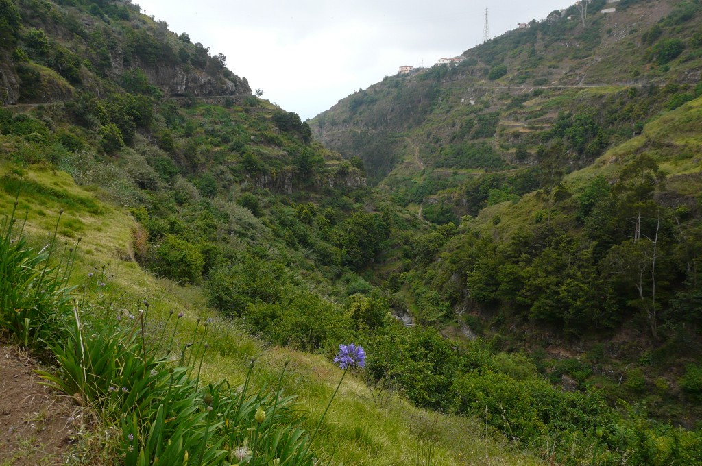 Zdjęcia: Funchal, Madera, Maderskie góry, HISZPANIA