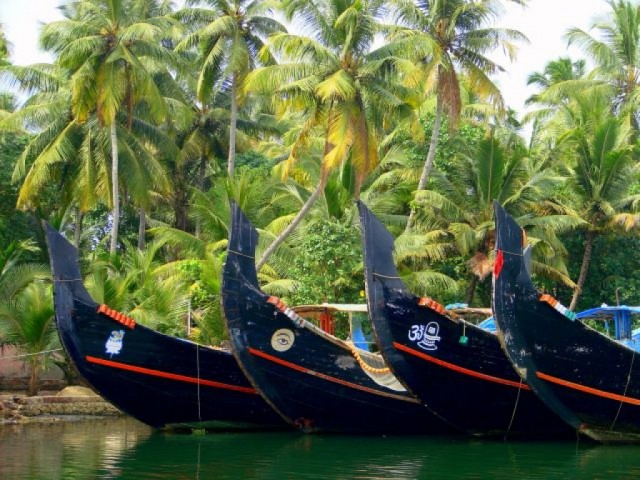 Zdjęcia: Karala, Karala, Karala, INDIE