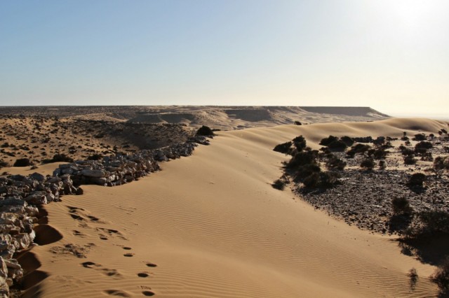 Zdjęcia: Sahara, Sahara Zachodnia, Po piaskach Sahary, MAROKO