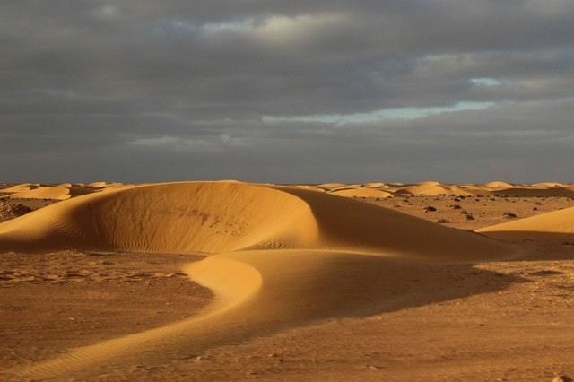 Zdjęcia: Sahara, Sahara Zachodnia, Po piaskach Sahary, MAROKO