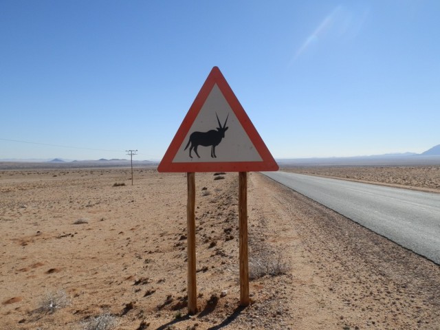Zdjęcia: Pustynia Namib, Pustynia Namib, Jeden ze znaków, NAMIBIA