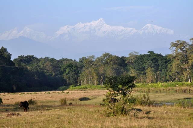 Zdjęcia: Sauraha, Terai, Manaslu z PN Chitwan, NEPAL