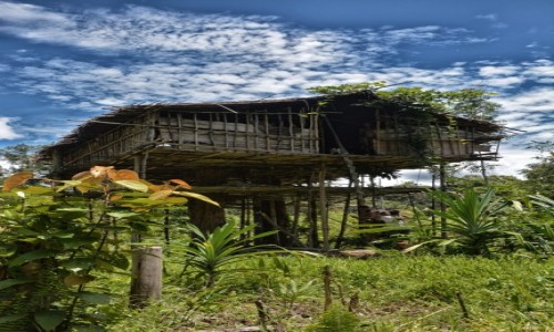 PAPUA NOWA GWINEA - przewodnik, ciekawostki, kultura, wizy, porady ...