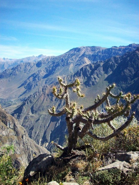 Zdjęcia: , Andy, Peru, PERU