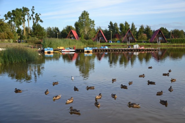 Zdjęcia: Dźwirzyno, Dżwirzyno, Jezioro Resko, POLSKA