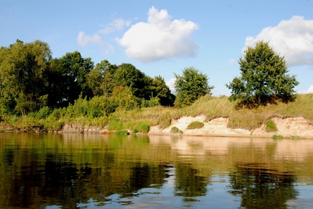 Zdjęcia: gdzieś za Drohiczynem, rzeka Bug, Brzeg rzeki, POLSKA