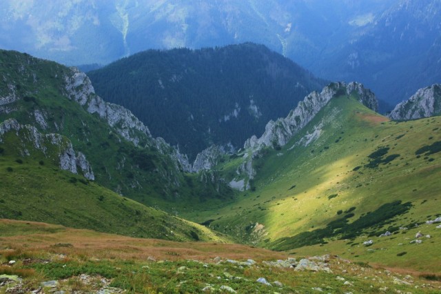 Zdjęcia: Upłaziańska Kopa, Tatry, Polana Upłaz, POLSKA