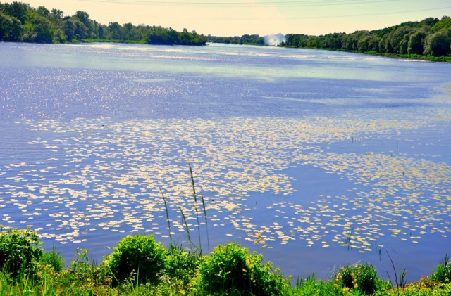 Zdjęcia: Zapora w Dębe, Dębe, oczka, POLSKA