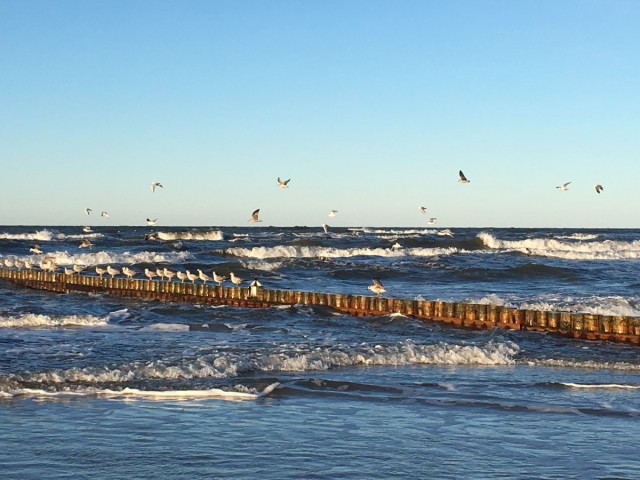 Zdjęcia: Łeba, Pomorze, Polskie morze, POLSKA