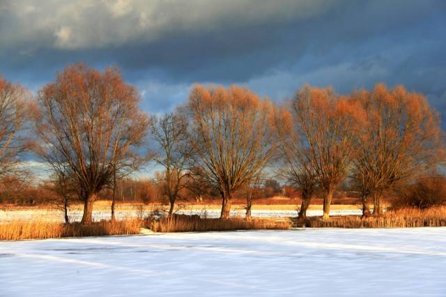 Zdjęcia: okolice Łomianek, -mazowsze, Luty, POLSKA