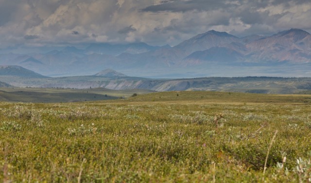 Zdjęcia: Góry Momskie, Jakucja ( republika Sacha ), jakuckie lato 1, ROSJA