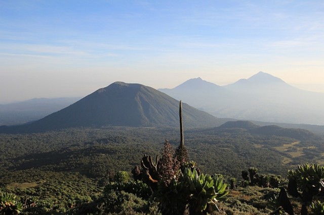 Zdjęcia: Rwanda, Volcanos National Park, Wulkany, RUANDA