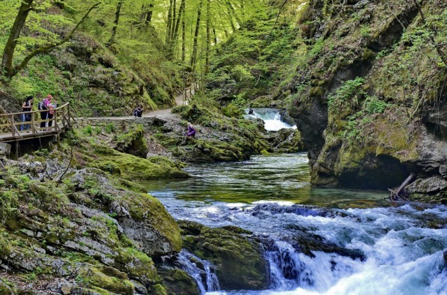 Zdjęcia: Bled, Carniola, Rwąca rzeka Vintgar, SłOWACJA