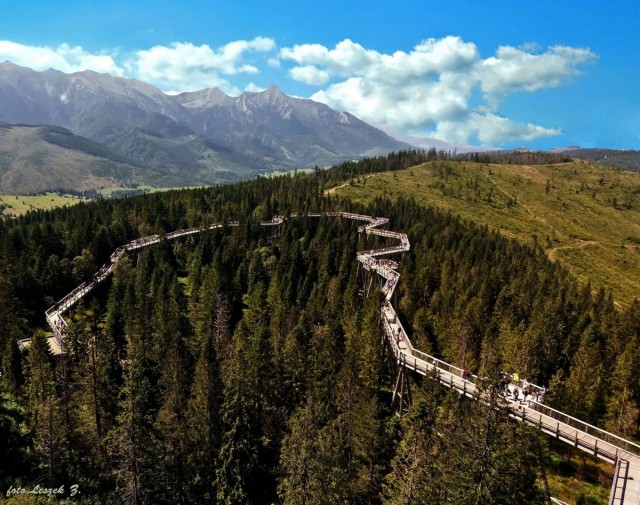 Zdjęcia: Ździar., Wysokie Tatry., Bachledówka - Spacer w koronach drzew ...