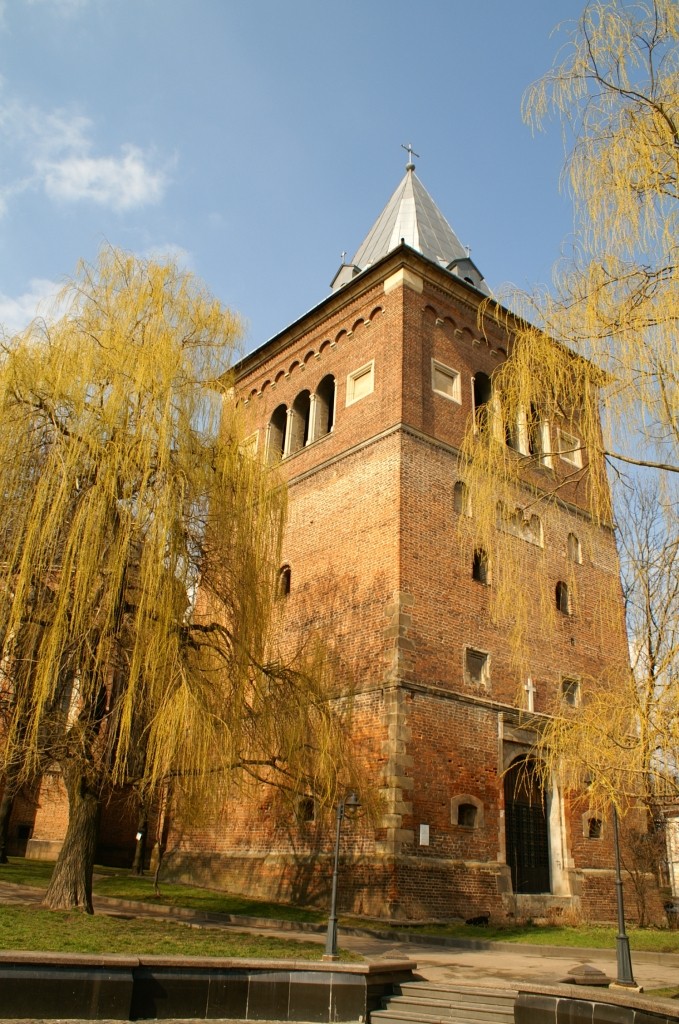 Zdjęcia: Drohobycz, obwód lwowski, kościół Wniebowzięcia NMP Krzyża ...